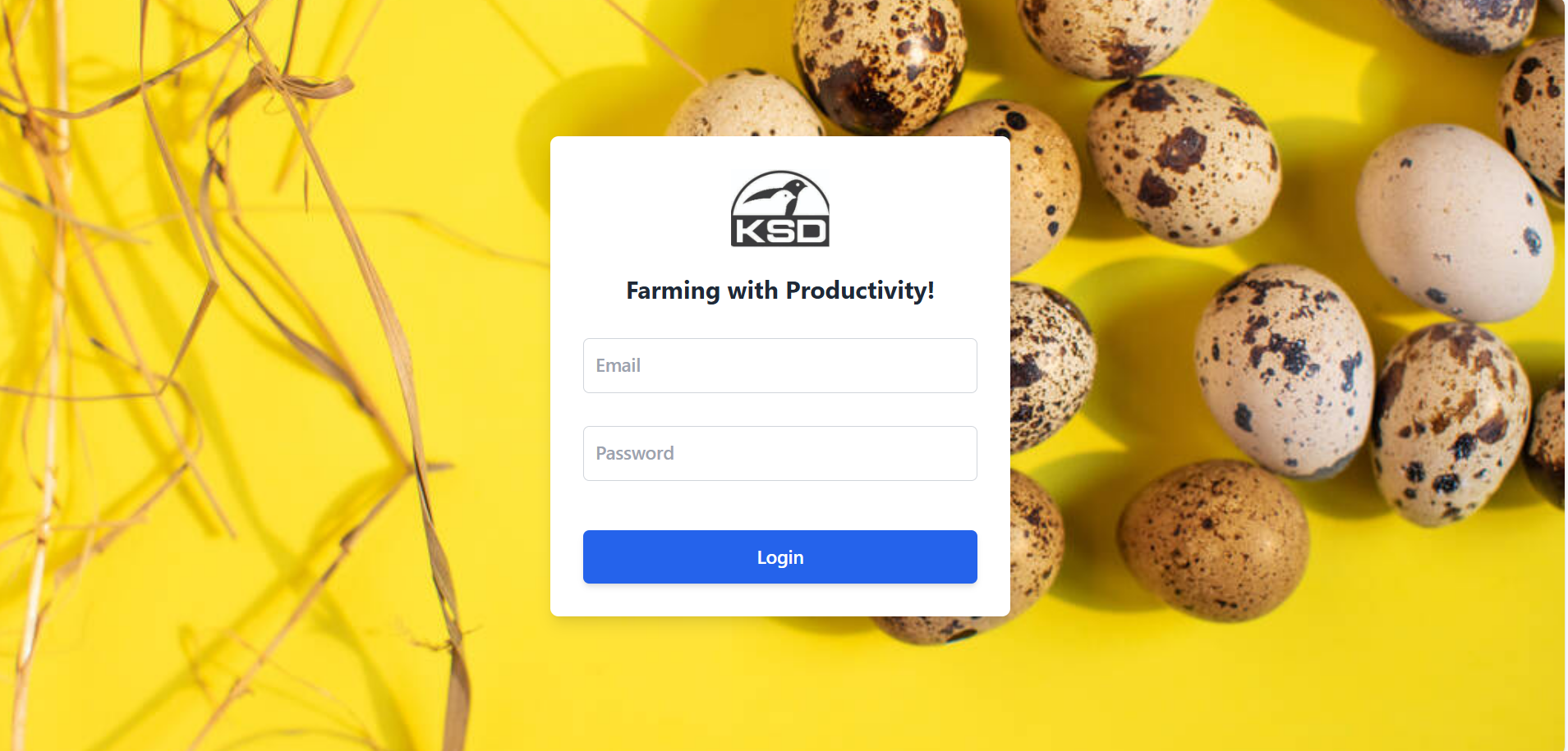 Vignesh M - Software Associate | Full Stack Developer Portfolio